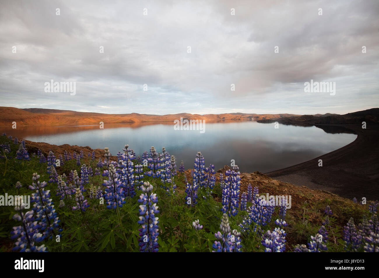 travel, iceland, lakeside, fresh water, lake, inland water, water ...