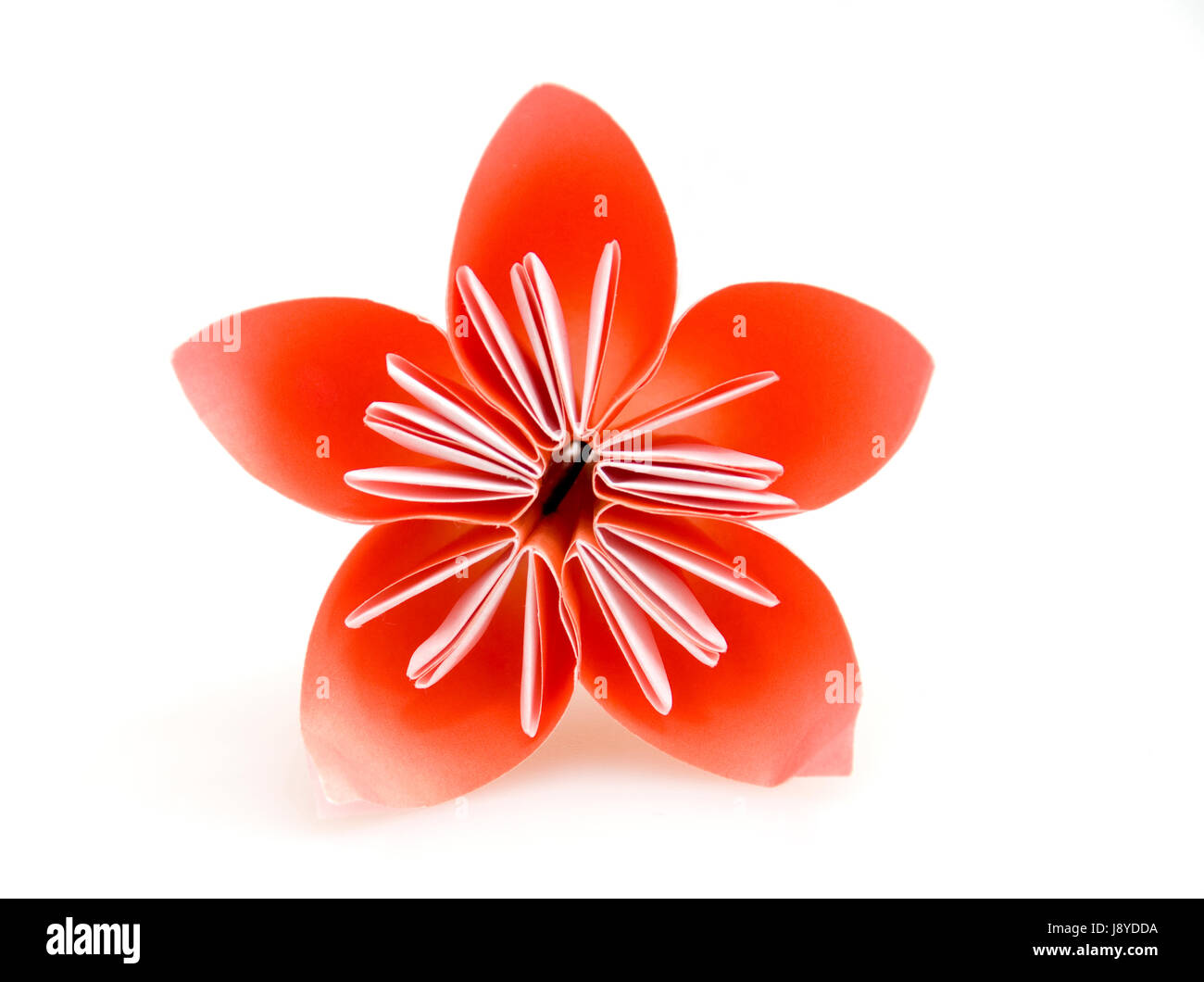 isolated, flower, plant, folded, solid, sheet of paper, paper, texture ...