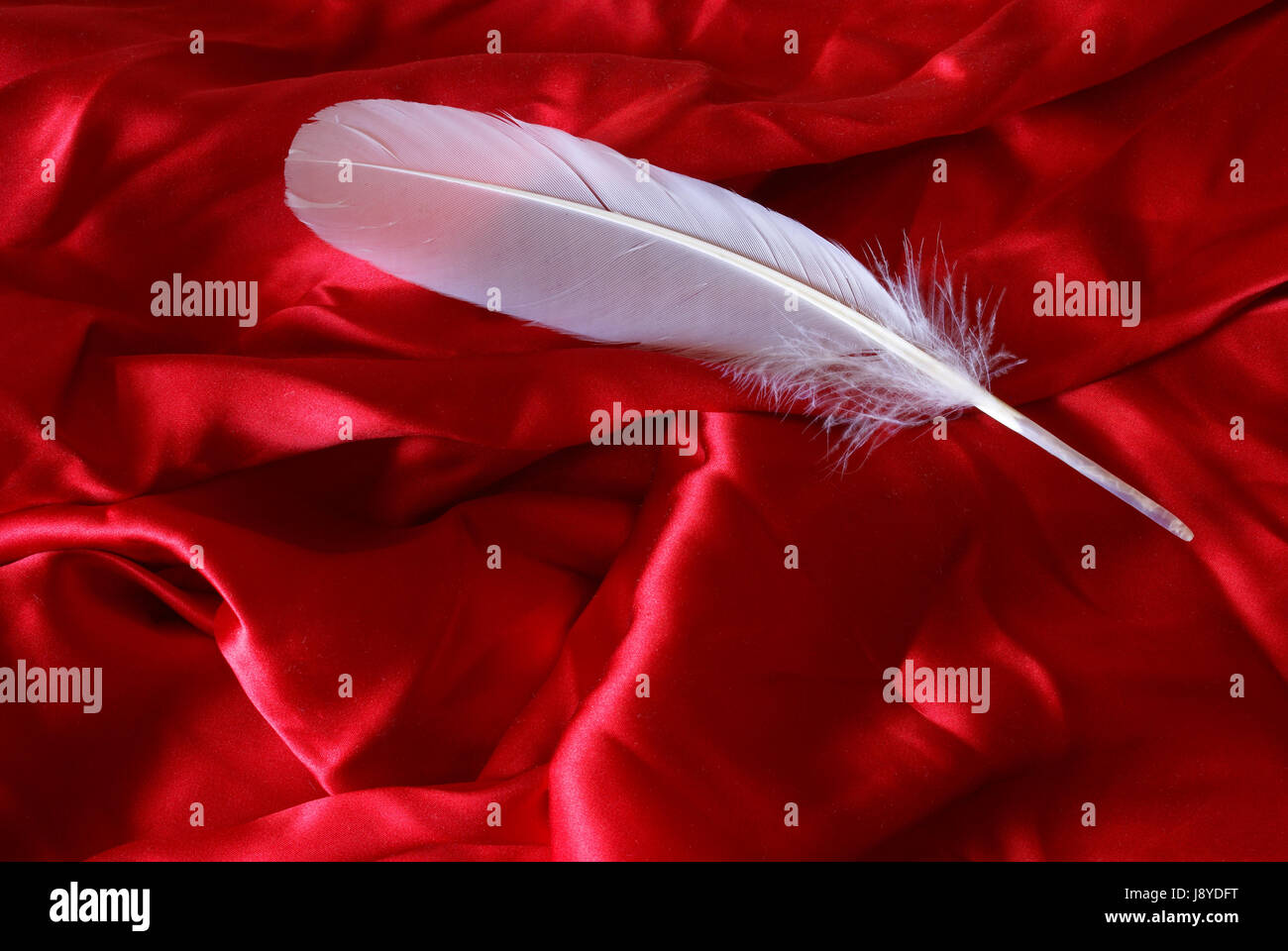 beautiful, beauteously, nice, object, model, design, project, concept ...