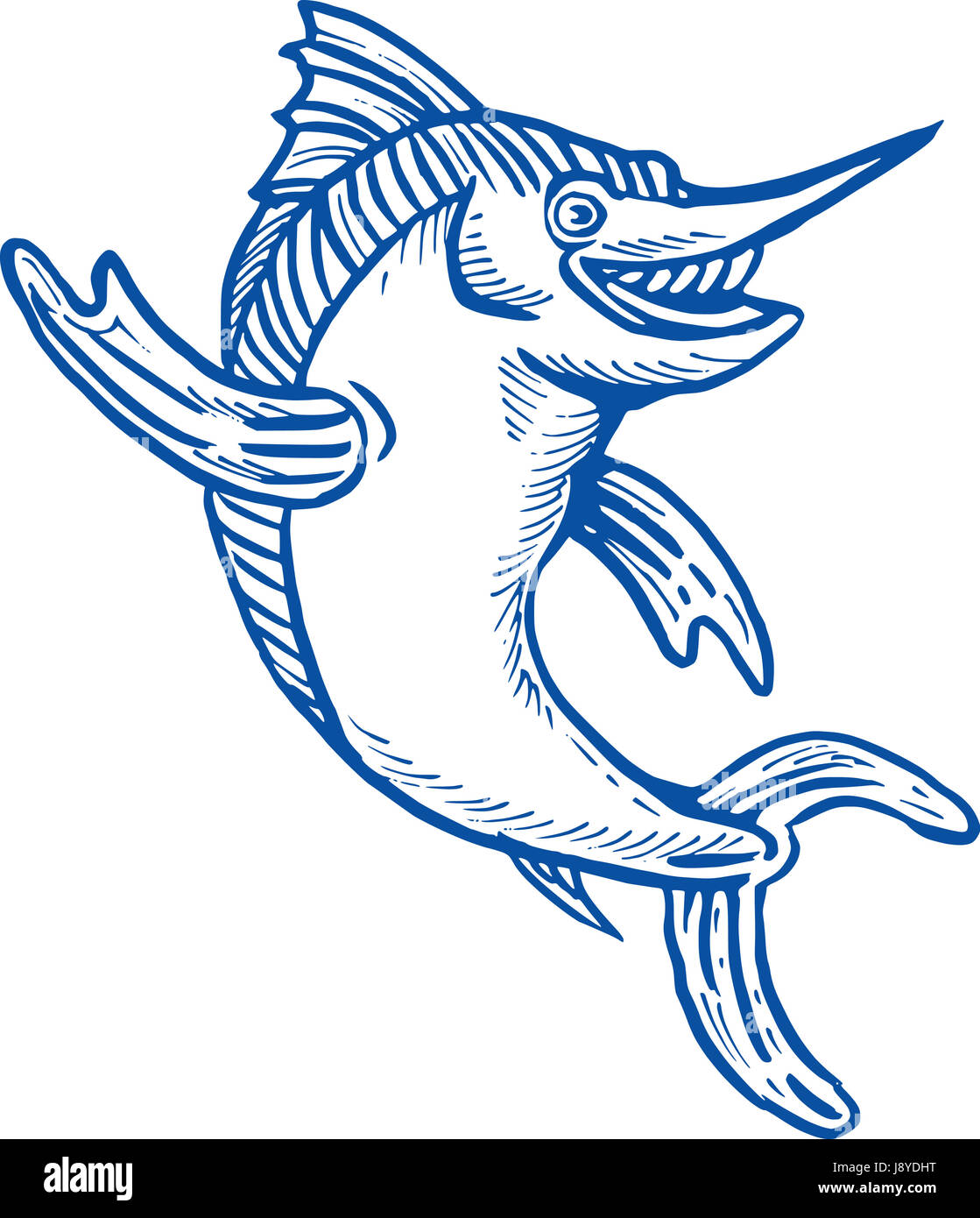 blue, isolated, illustration, fin, cartoon, swordfish, hello, hi, hallo ...