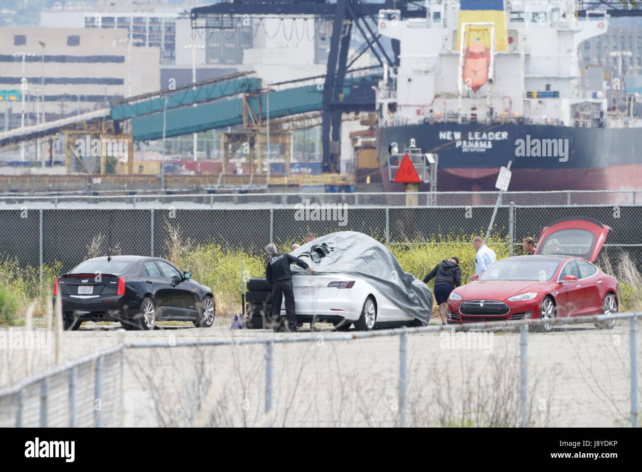 Tesla being Tested Stock Photo - Alamy