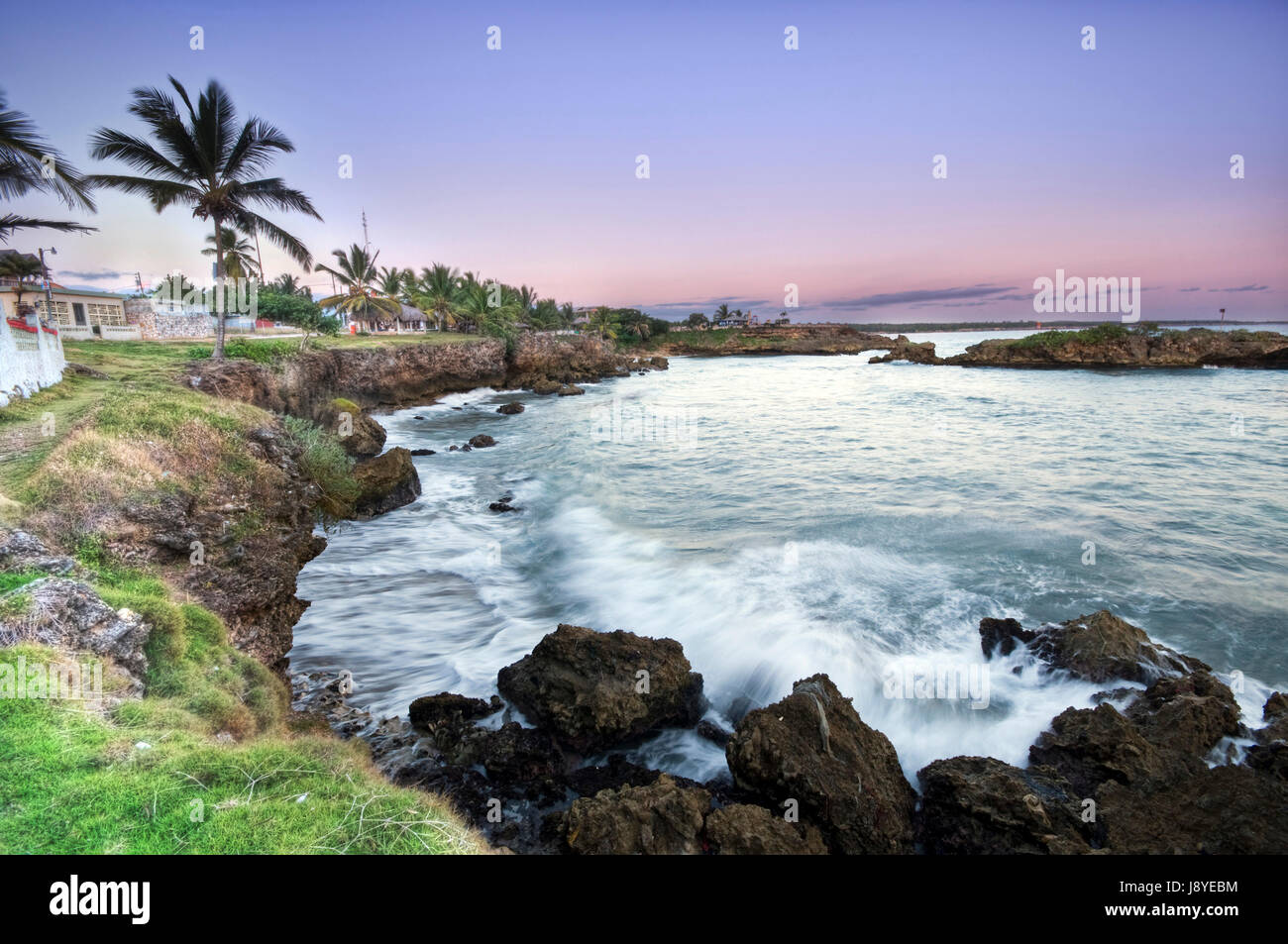 beach, seaside, the beach, seashore, coast, palm, community, village ...