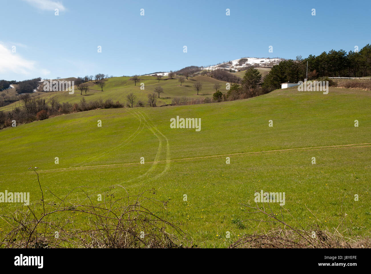 spring, bouncing, bounces, hop, skipping, frisks, jumping, jump ...