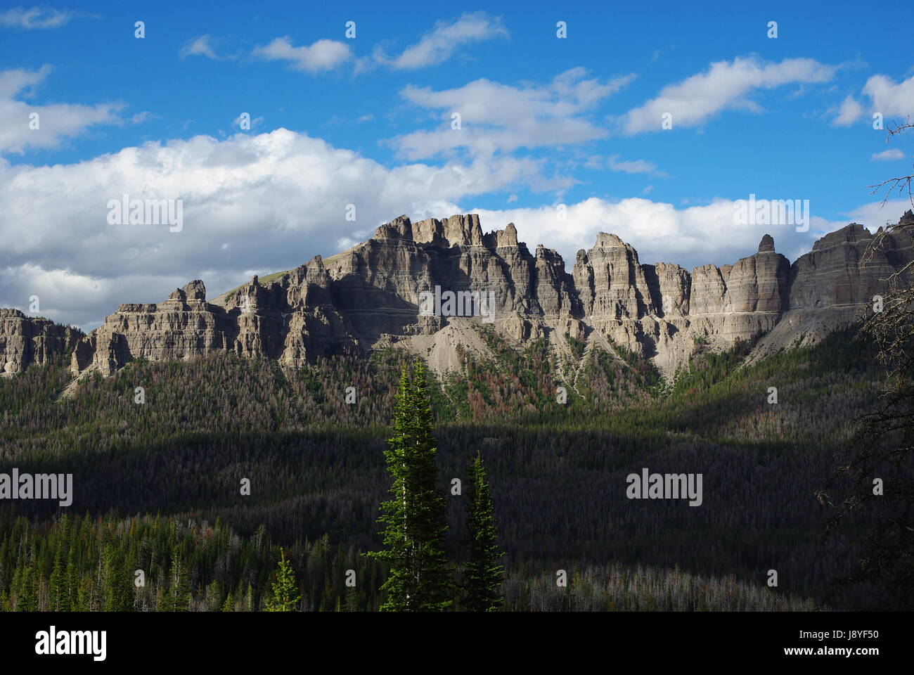 tree, rock, conifer forest, mountain, forest, wall, blue, tree, green ...