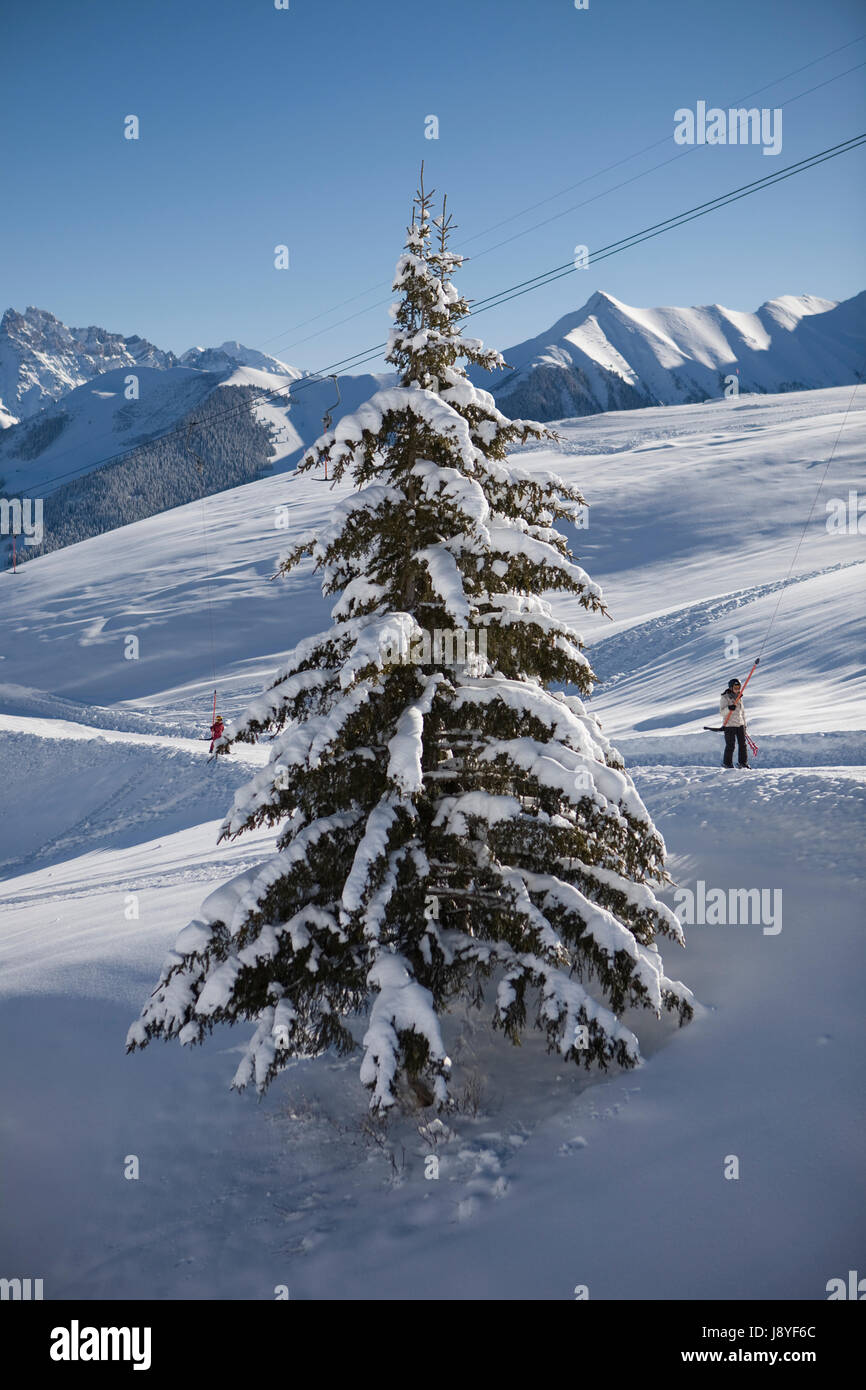 Alpine snow hi-res stock photography and images - Alamy
