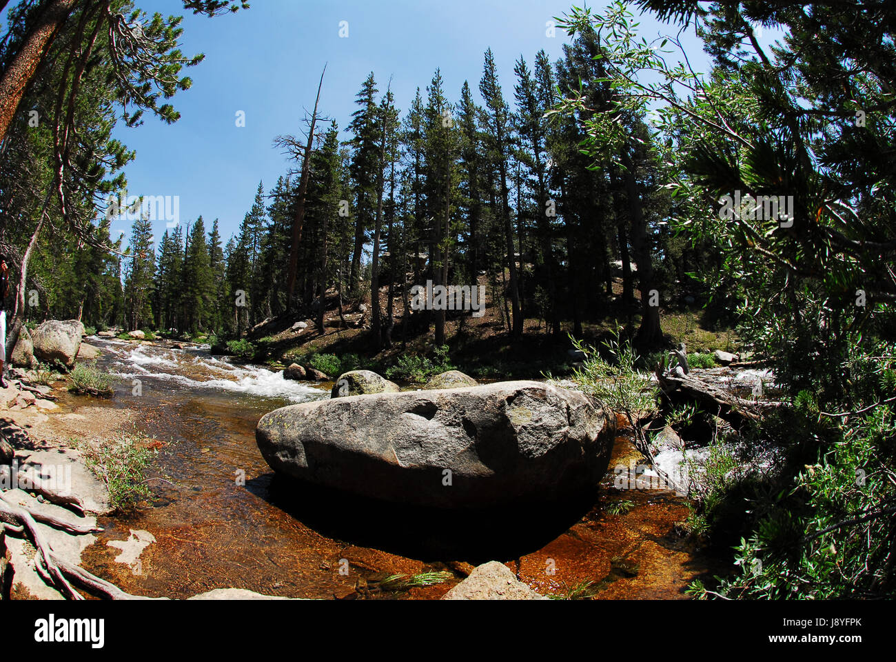 Mountain side road, Yosemite National Park, USA Stock Photo - Alamy