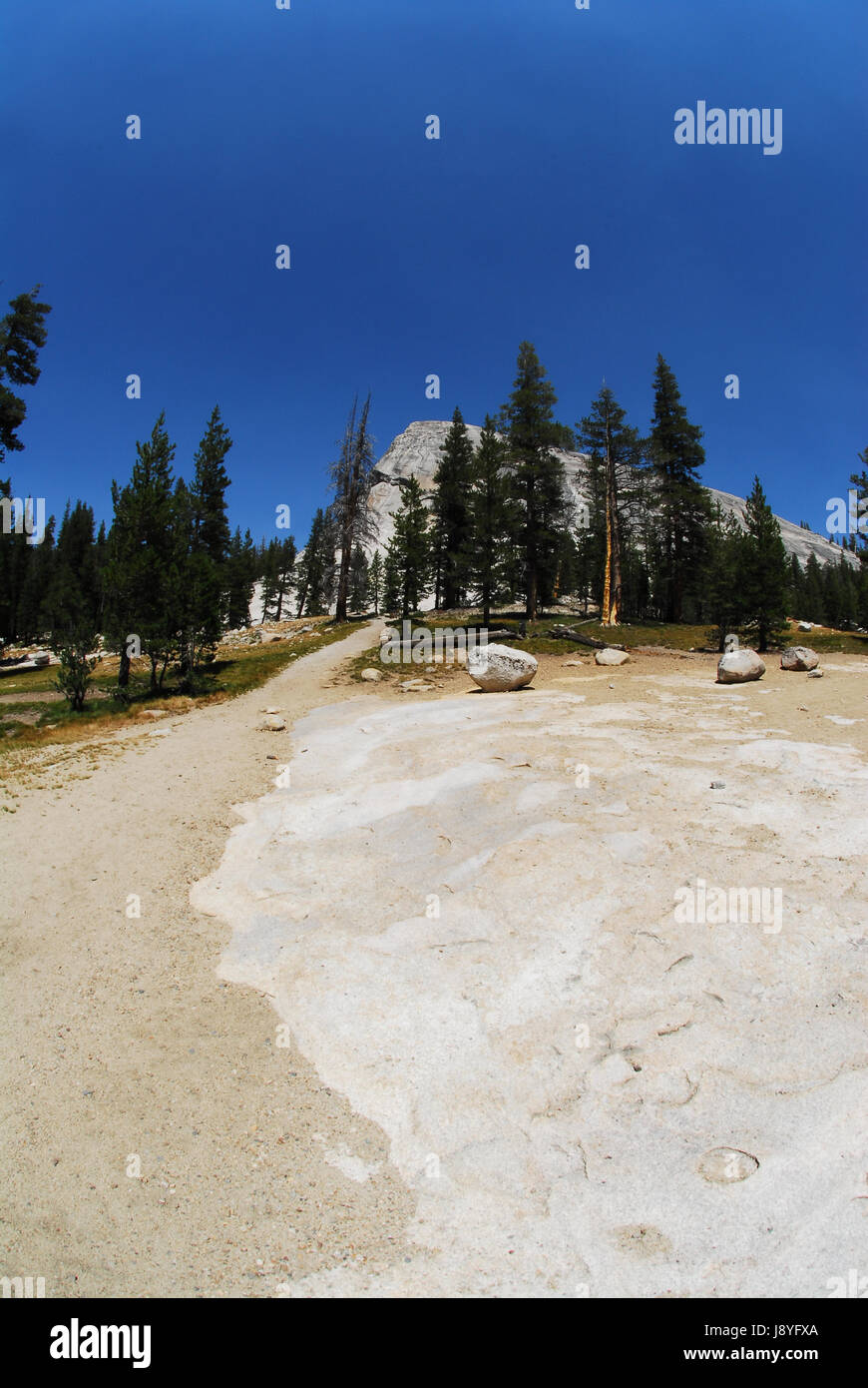 Mountain side road, Yosemite National Park, USA Stock Photo - Alamy