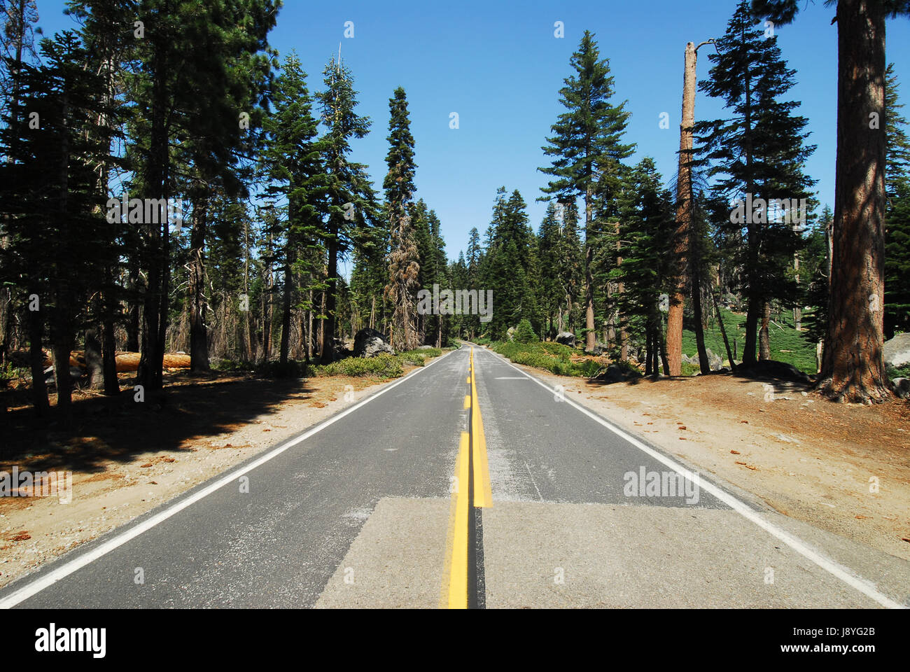Mountain side road, Yosemite National Park, USA Stock Photo - Alamy