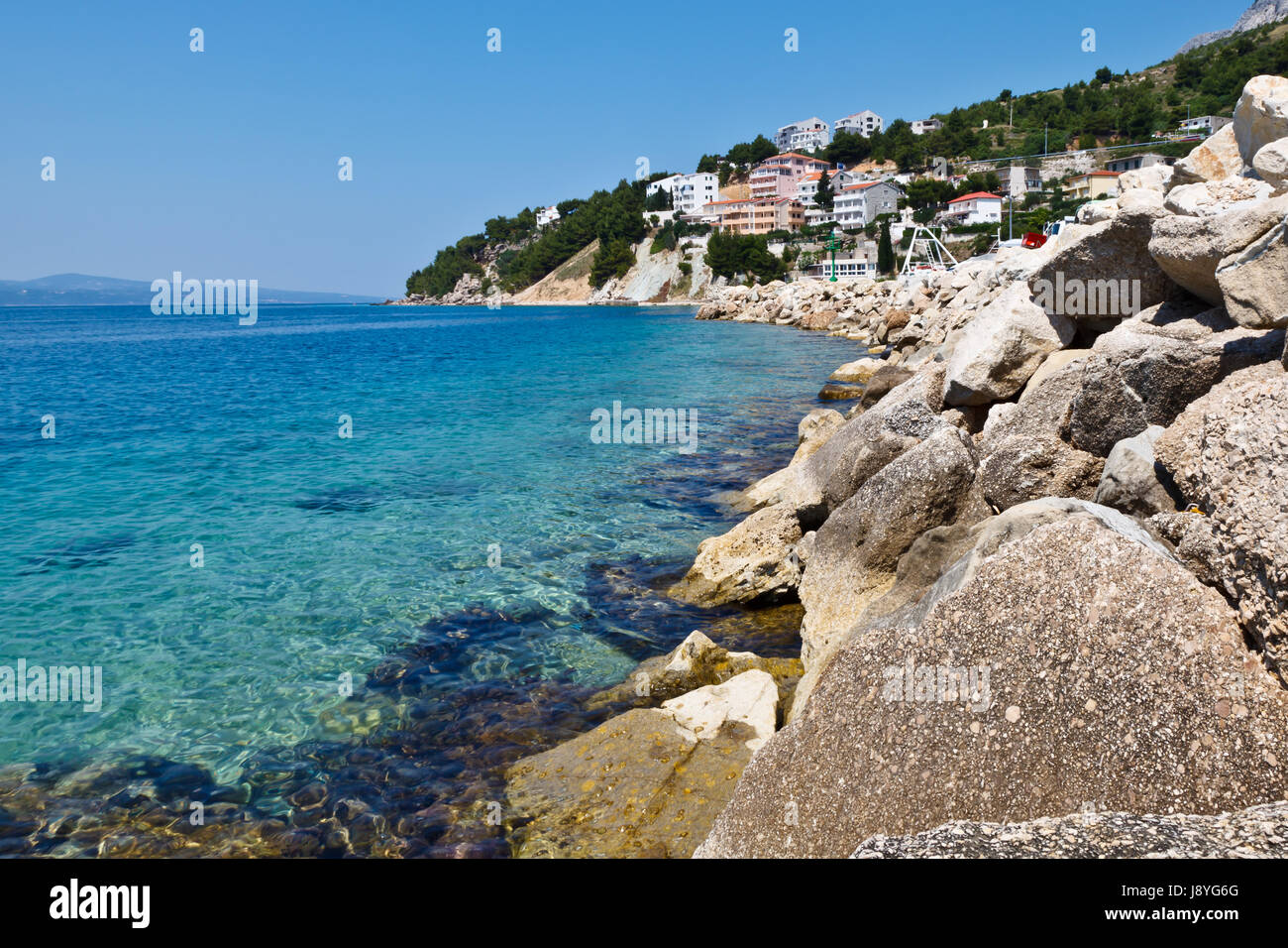 blue, humans, human beings, people, folk, persons, human, human being ...