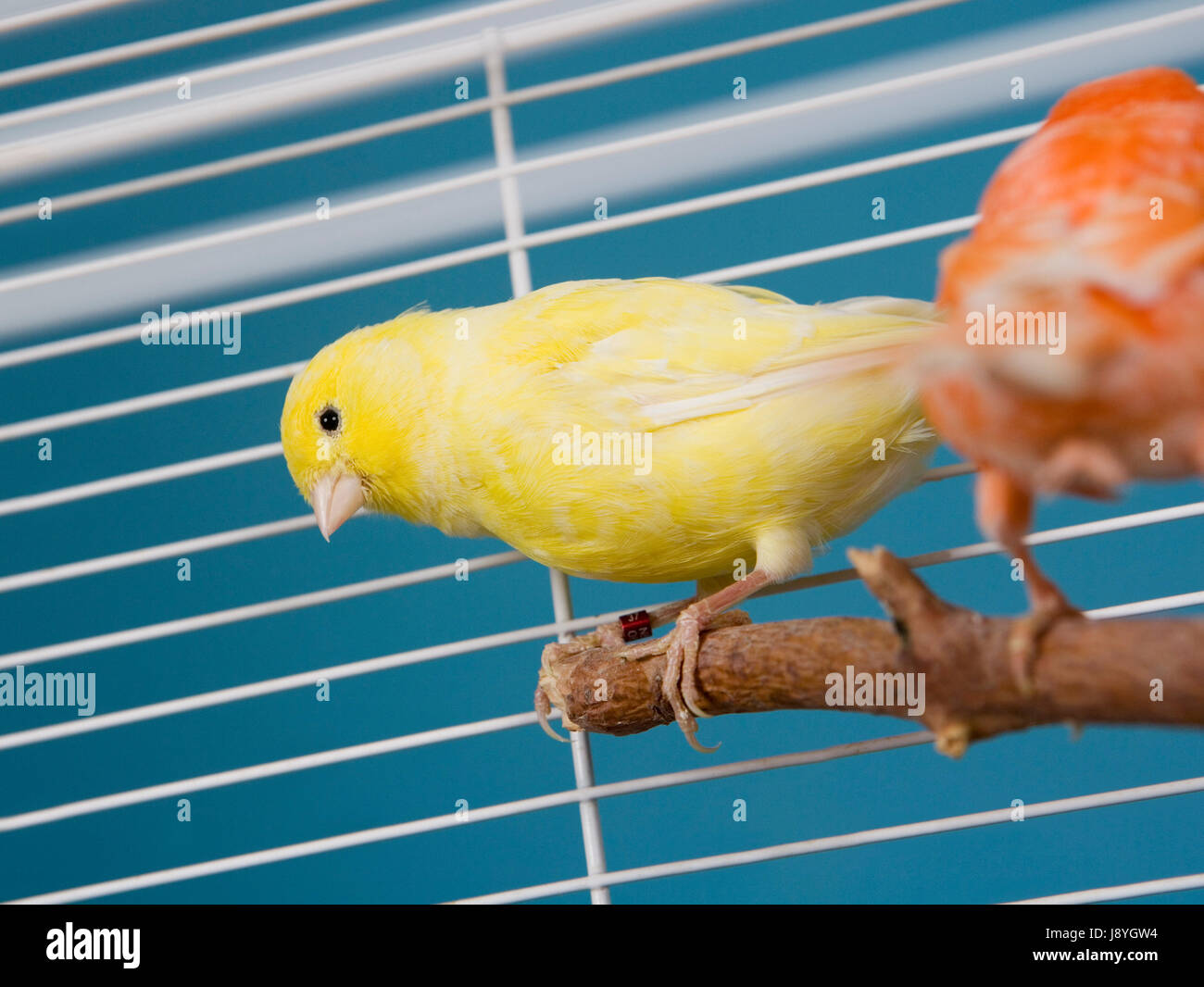 talk, speaking, speaks, spoken, speak, talking, chat, nattering ...