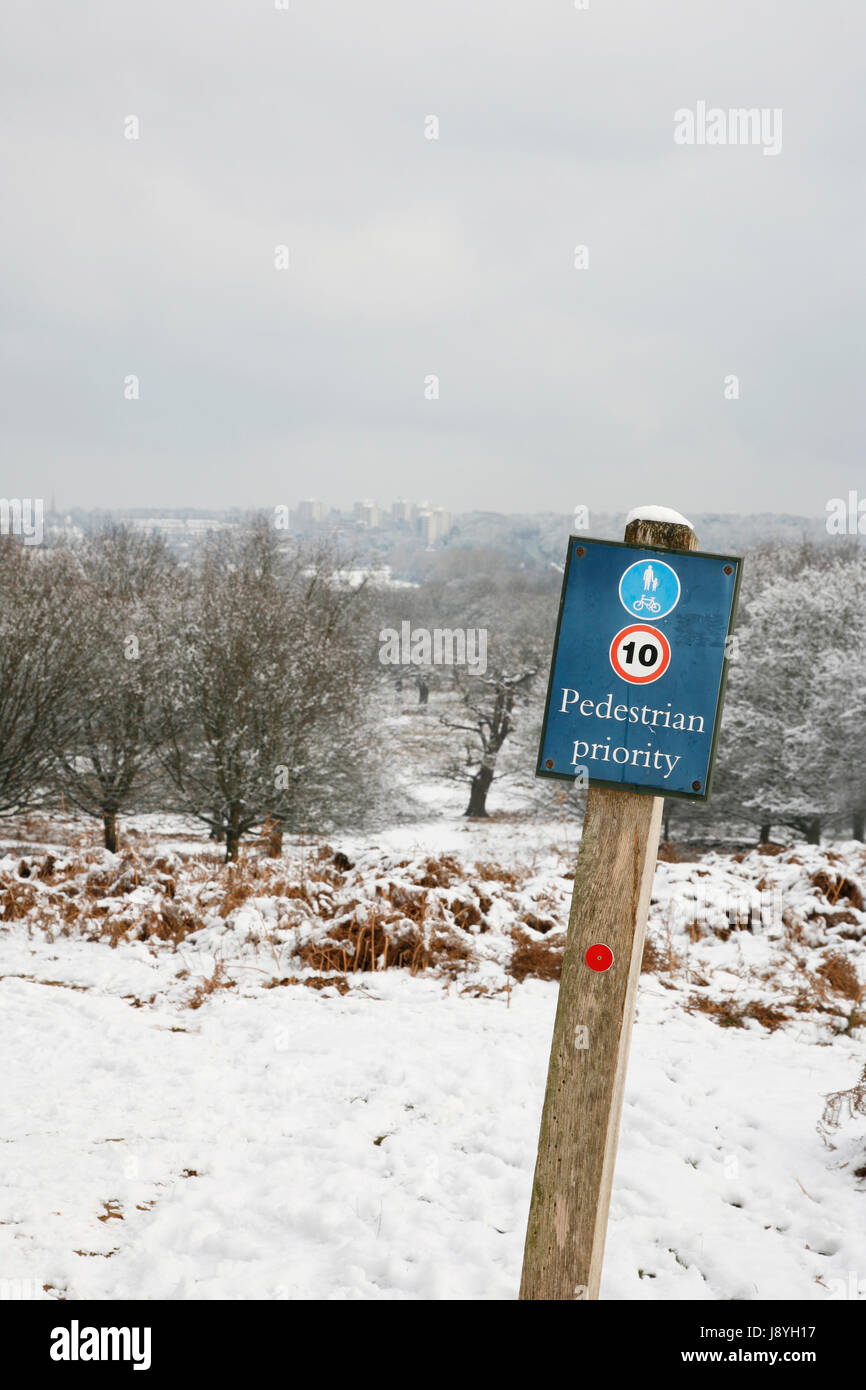 tree, park, winter, snow, coke, cocaine, material, drug, anaesthetic ...