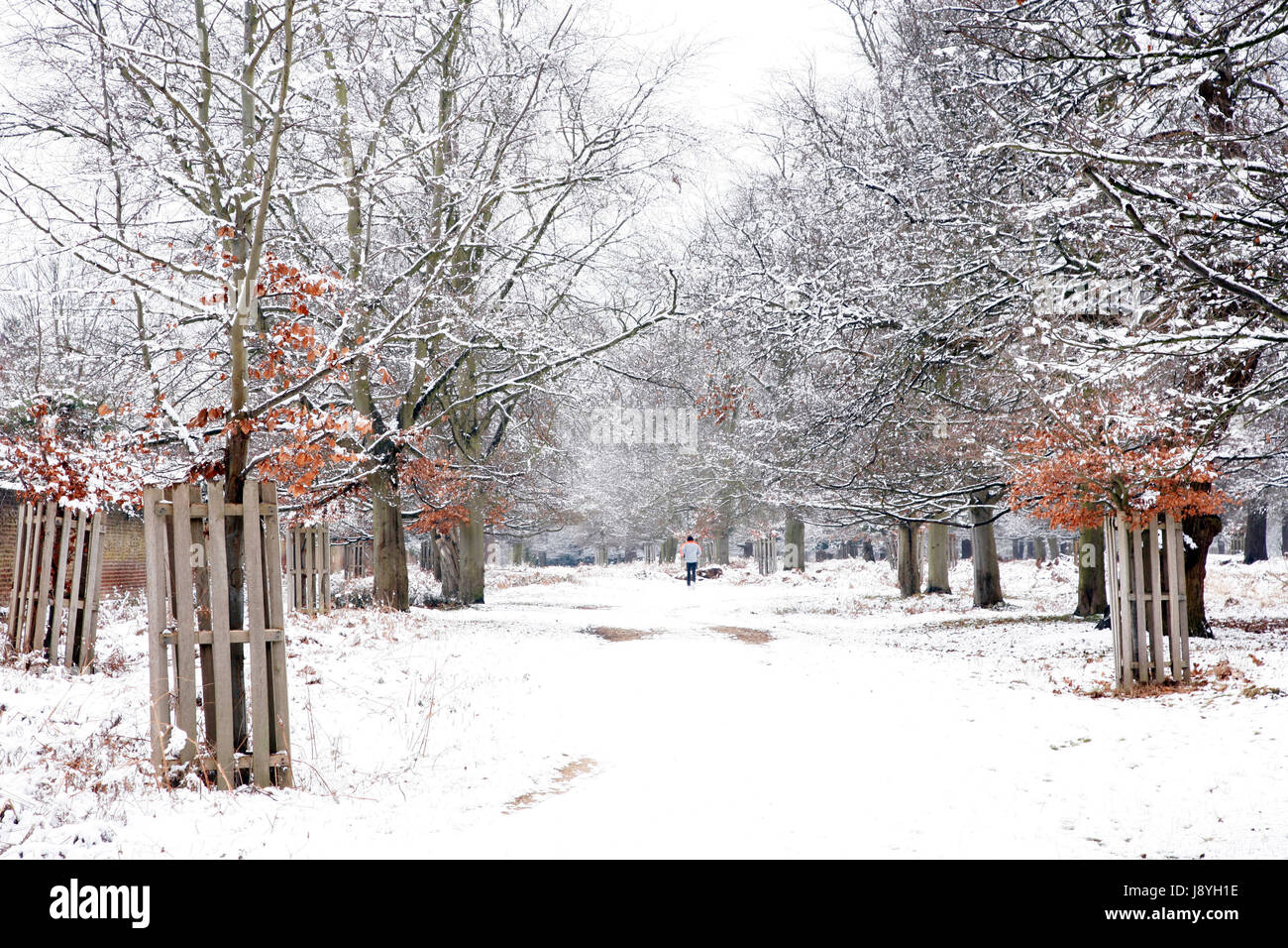 park, winter, snow, coke, cocaine, material, drug, anaesthetic ...