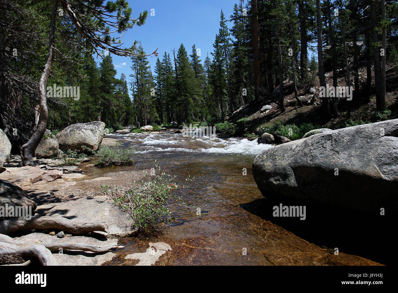 Mountain side road, Yosemite National Park, USA Stock Photo - Alamy