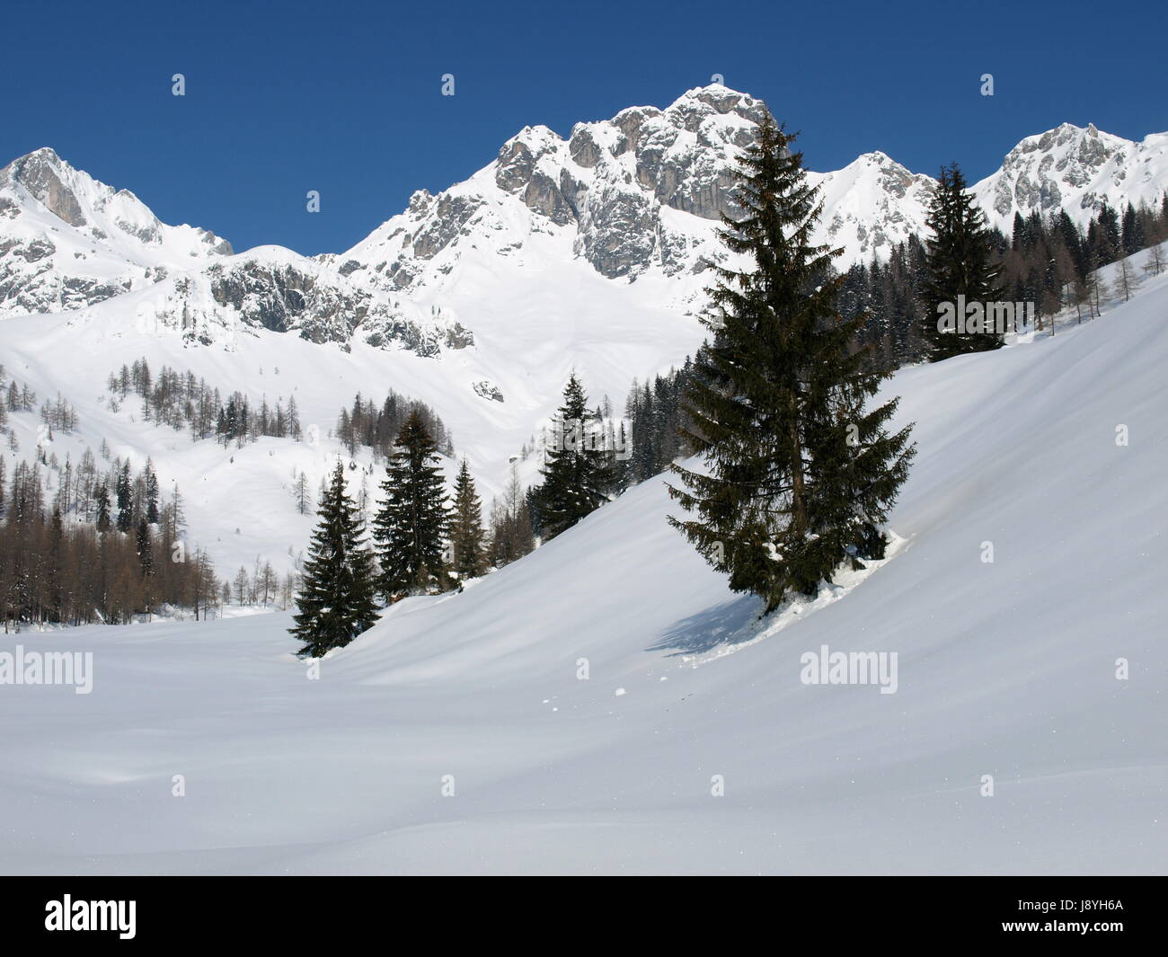 tree, winter, cold, alp, snowy, firmament, sky, snow, mountain, blue ...