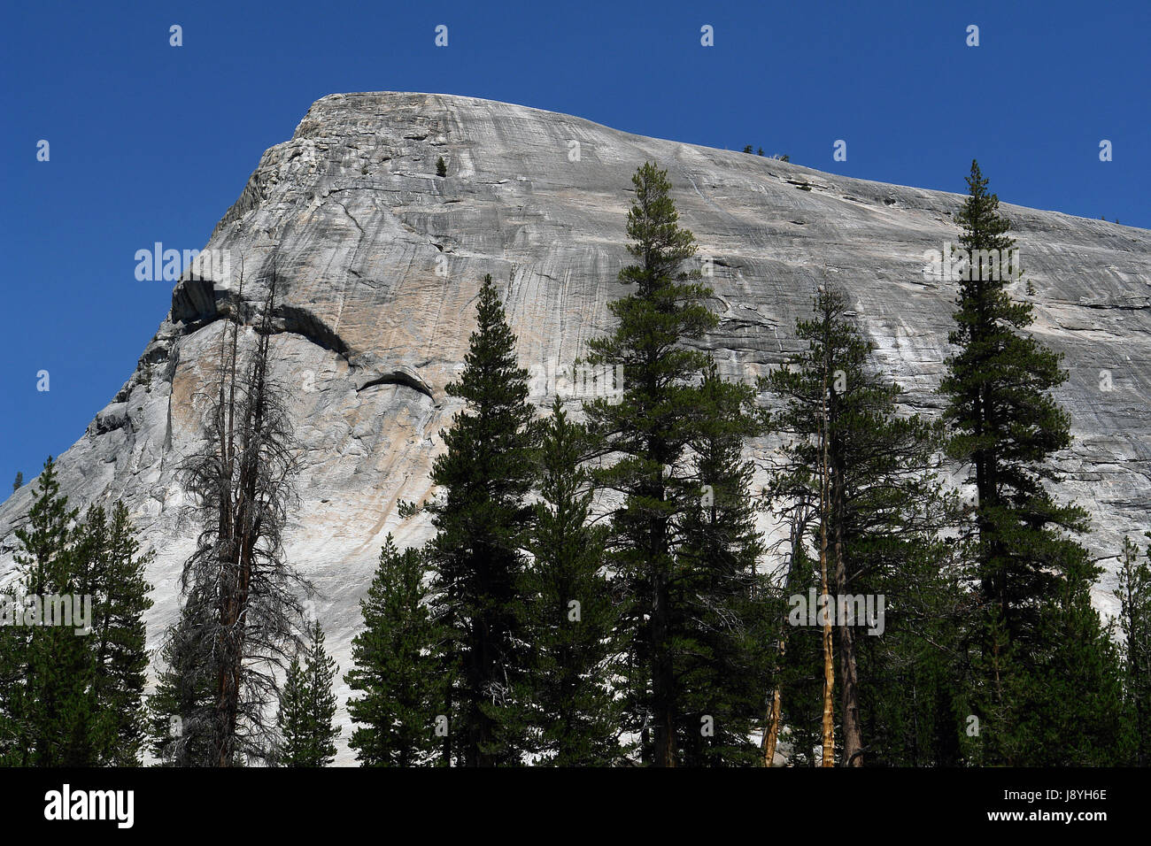 Mountain side road, Yosemite National Park, USA Stock Photo - Alamy