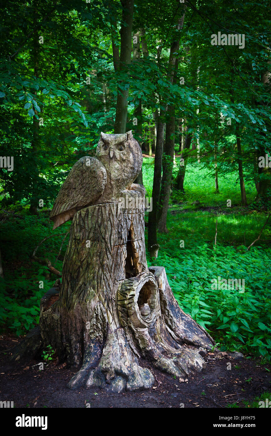 tree, trunk, owl, sculpture, eagle-owl, tree, bird, tourism, trunk ...