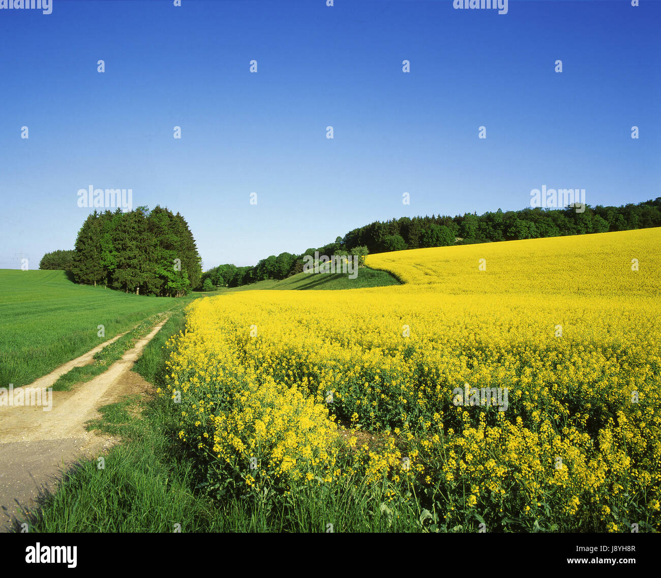 bucolic, agriculture, farming, summer, summerly, fields, idyll, scenery ...