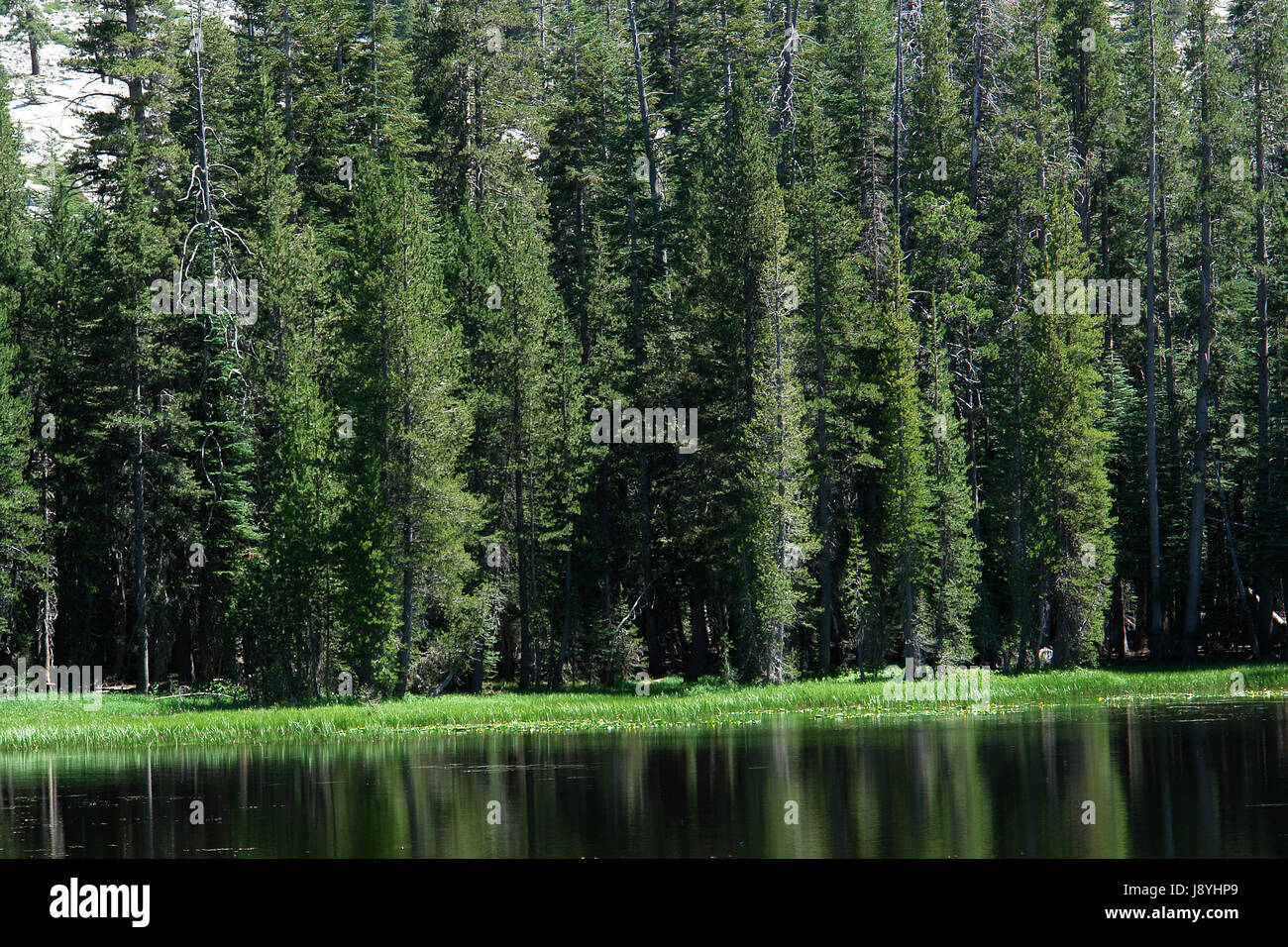 Mountain side road, Yosemite National Park, USA Stock Photo - Alamy