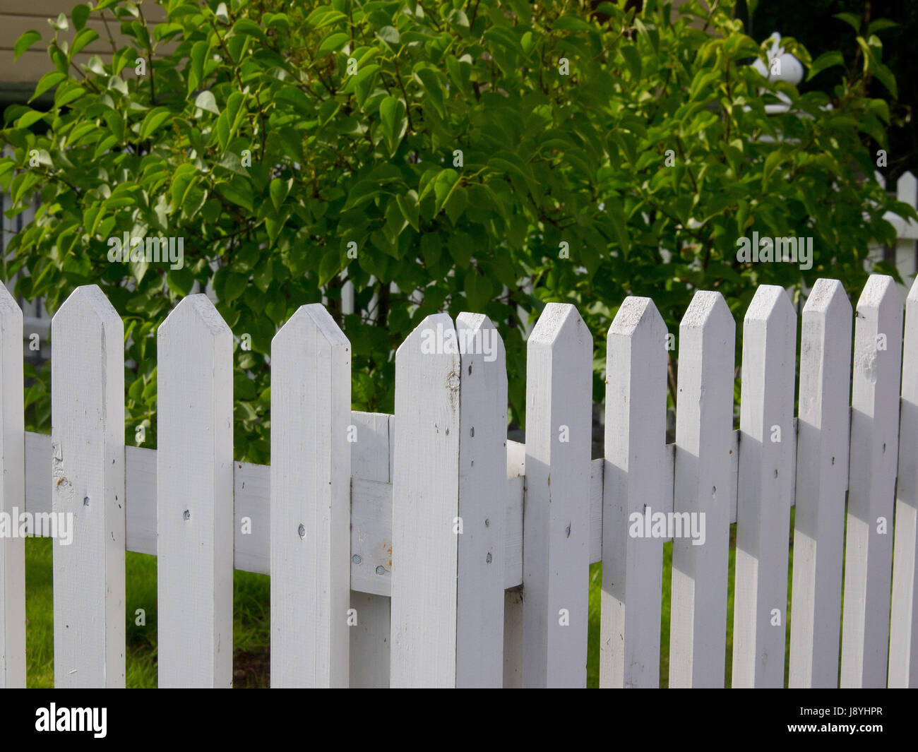 Molde garden in molde hi-res stock photography and images - Alamy Molde garden in molde hi-res stock photography and images - Alamy