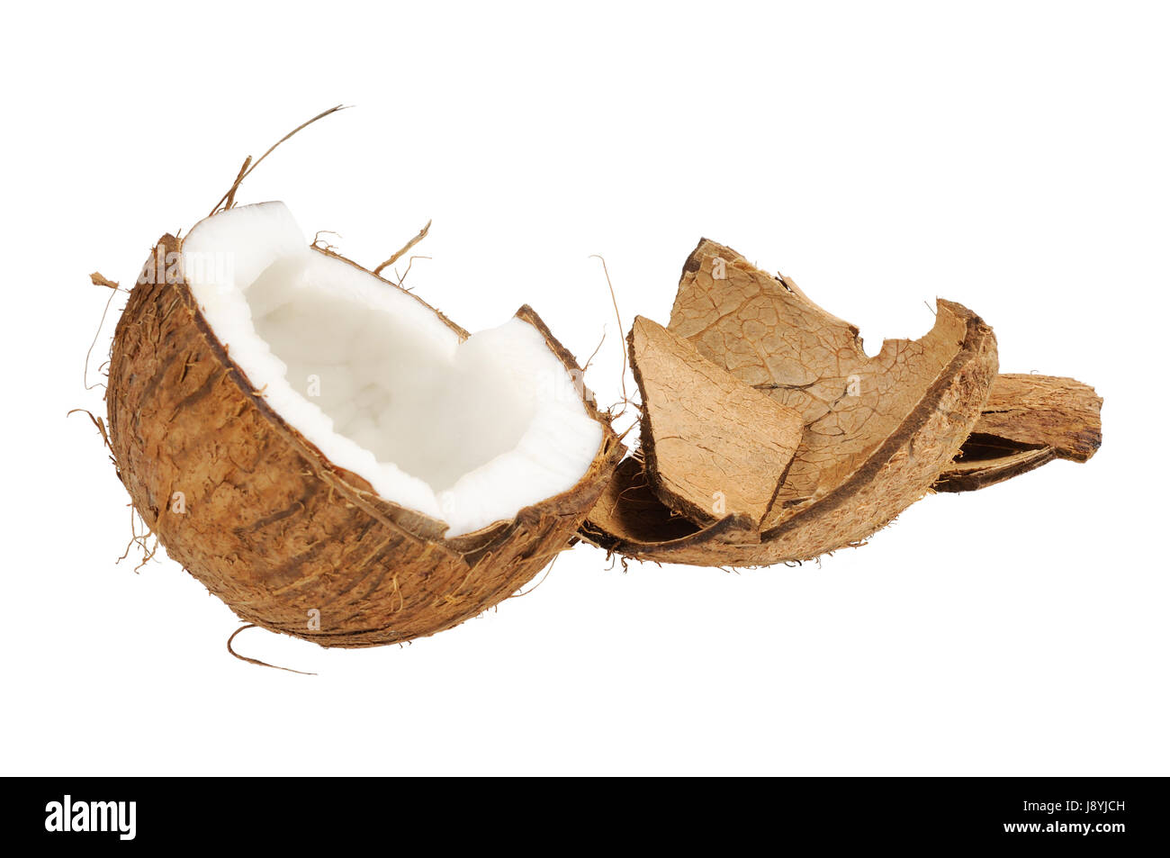 food, aliment, brown, brownish, brunette, shell, hairy, broken, fruit ...