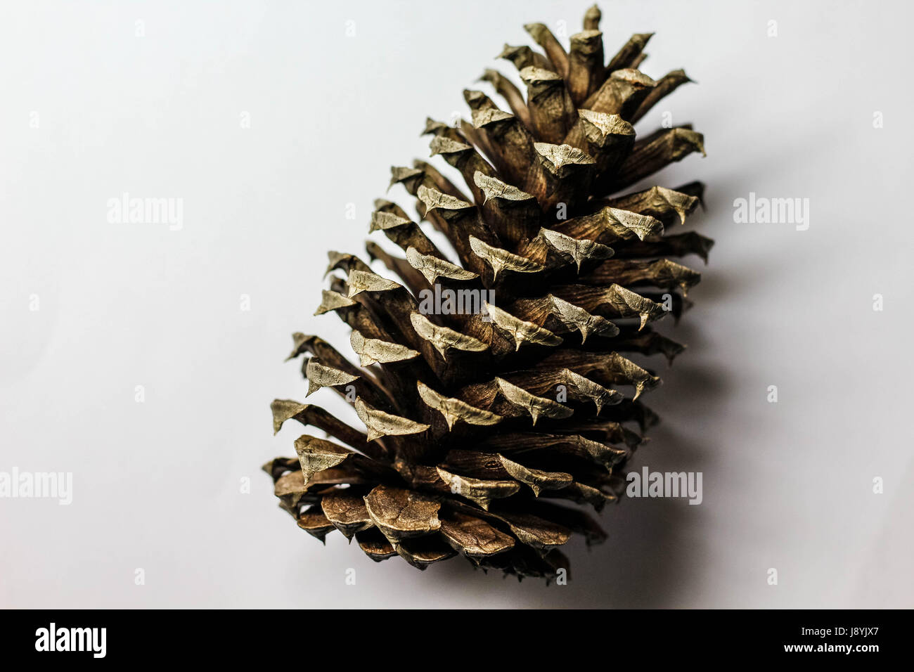 Square cone shape hi-res stock photography and images - Alamy