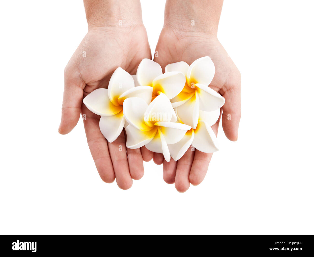 hand, hands, detail, closeup, flower, flowers, plant, beauty, care ...