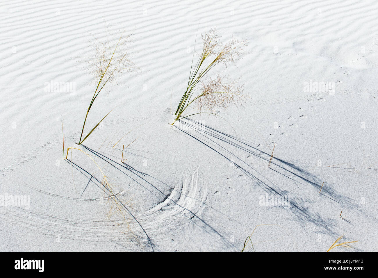 Windblown patterns in white sand Stock Photo - Alamy