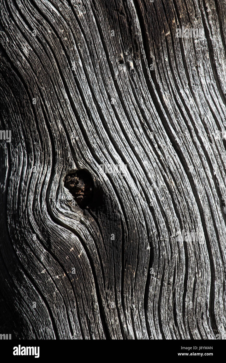 Colorless wood texture Stock Photo - Alamy