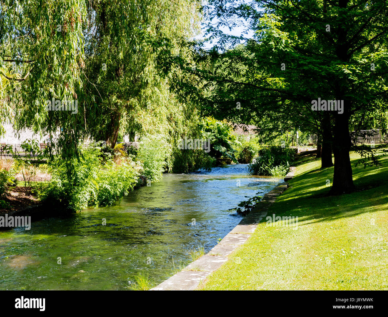 River itchen hi-res stock photography and images - Alamy