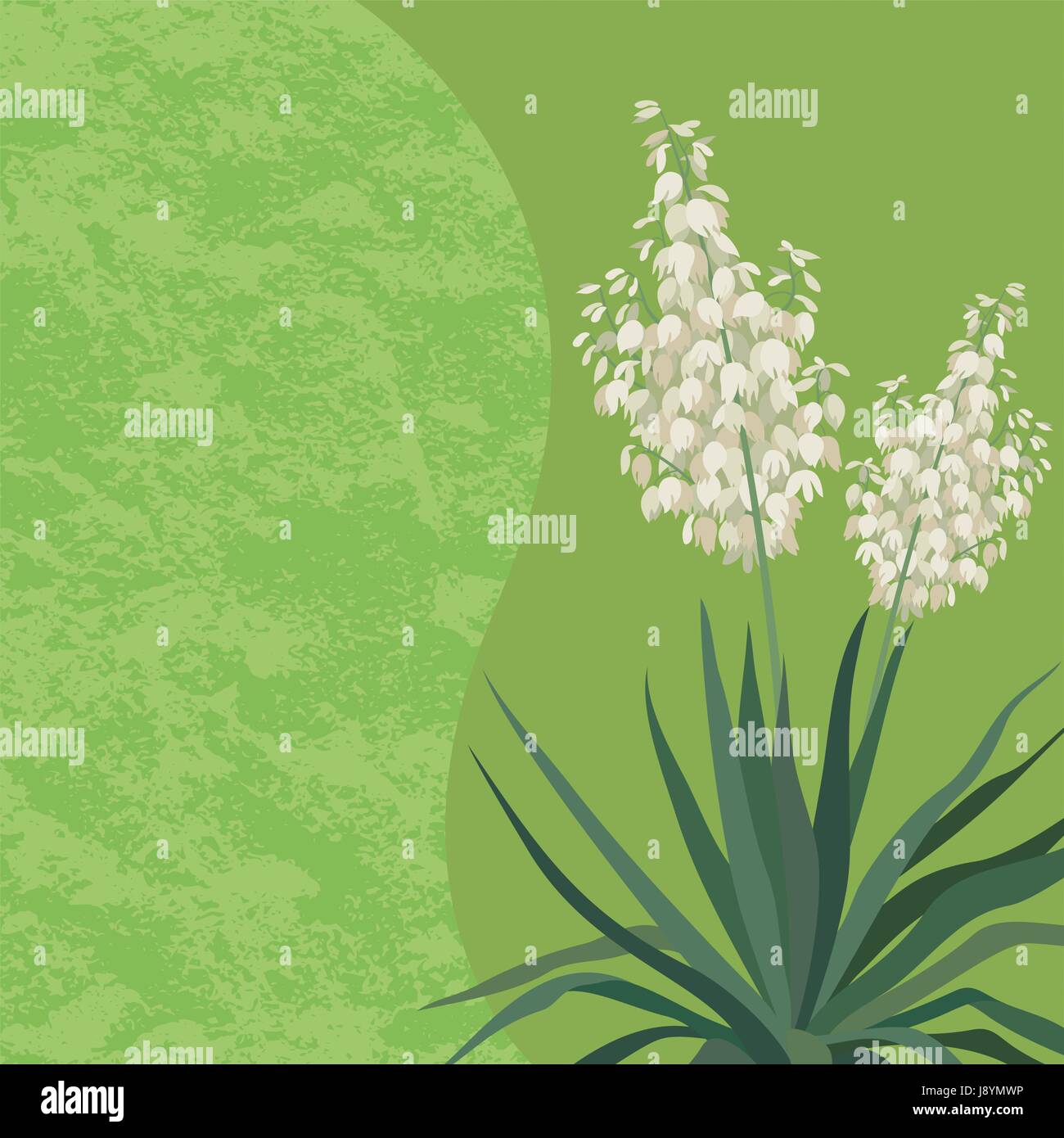 Yucca spring Stock Vector Images - Alamy