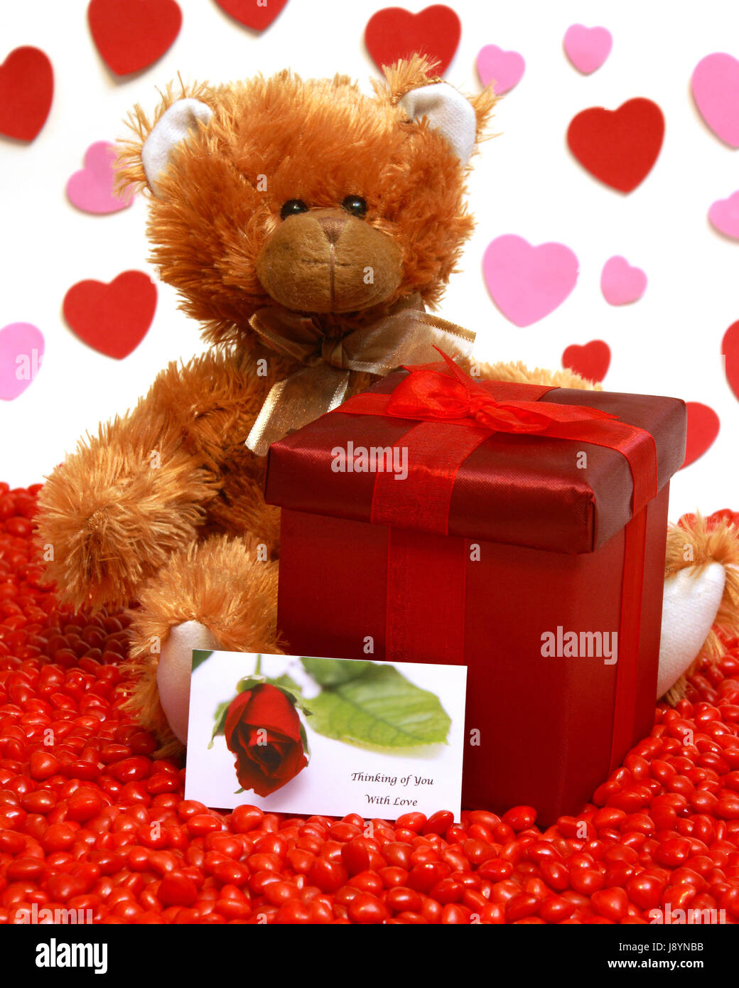 present, write, wrote, writing, writes, object, single, closeup, bear ...