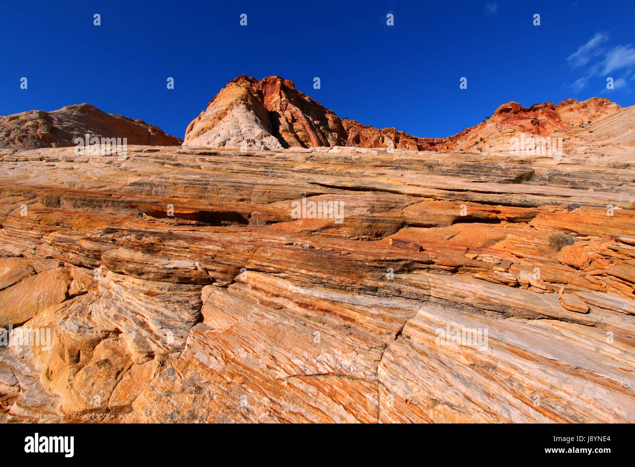 park, rock, national, reef, capitol, mountain, red, travel, environment ...