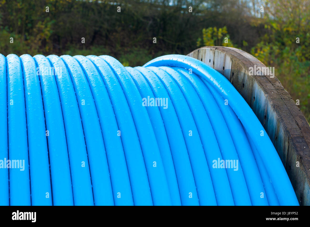 blue, communication, connection, connectivity, interface, annexation ...