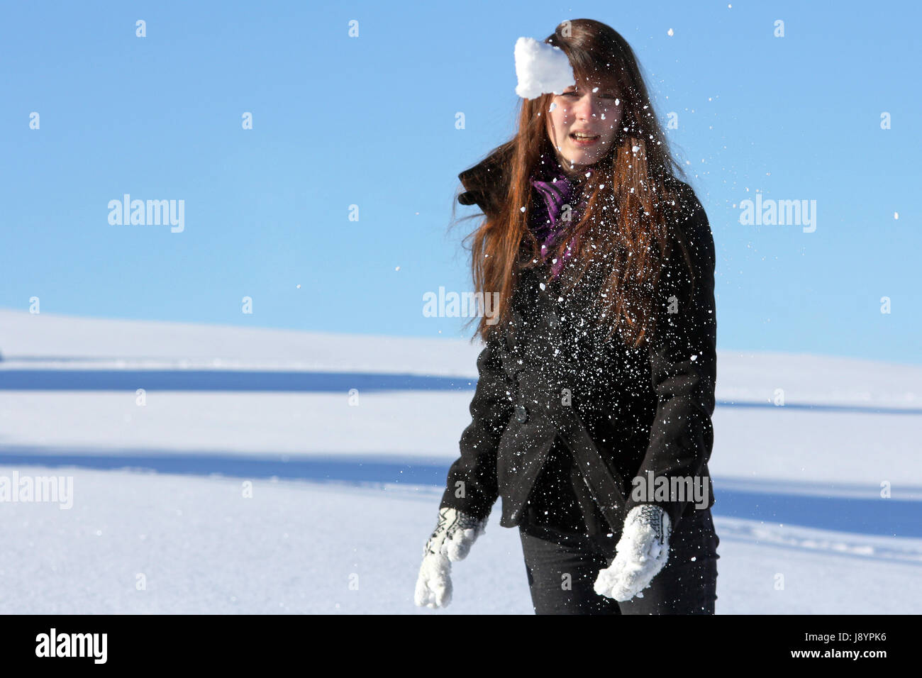 woman, winter, throw, snowball fight, snowball, snow, girl, girls ...