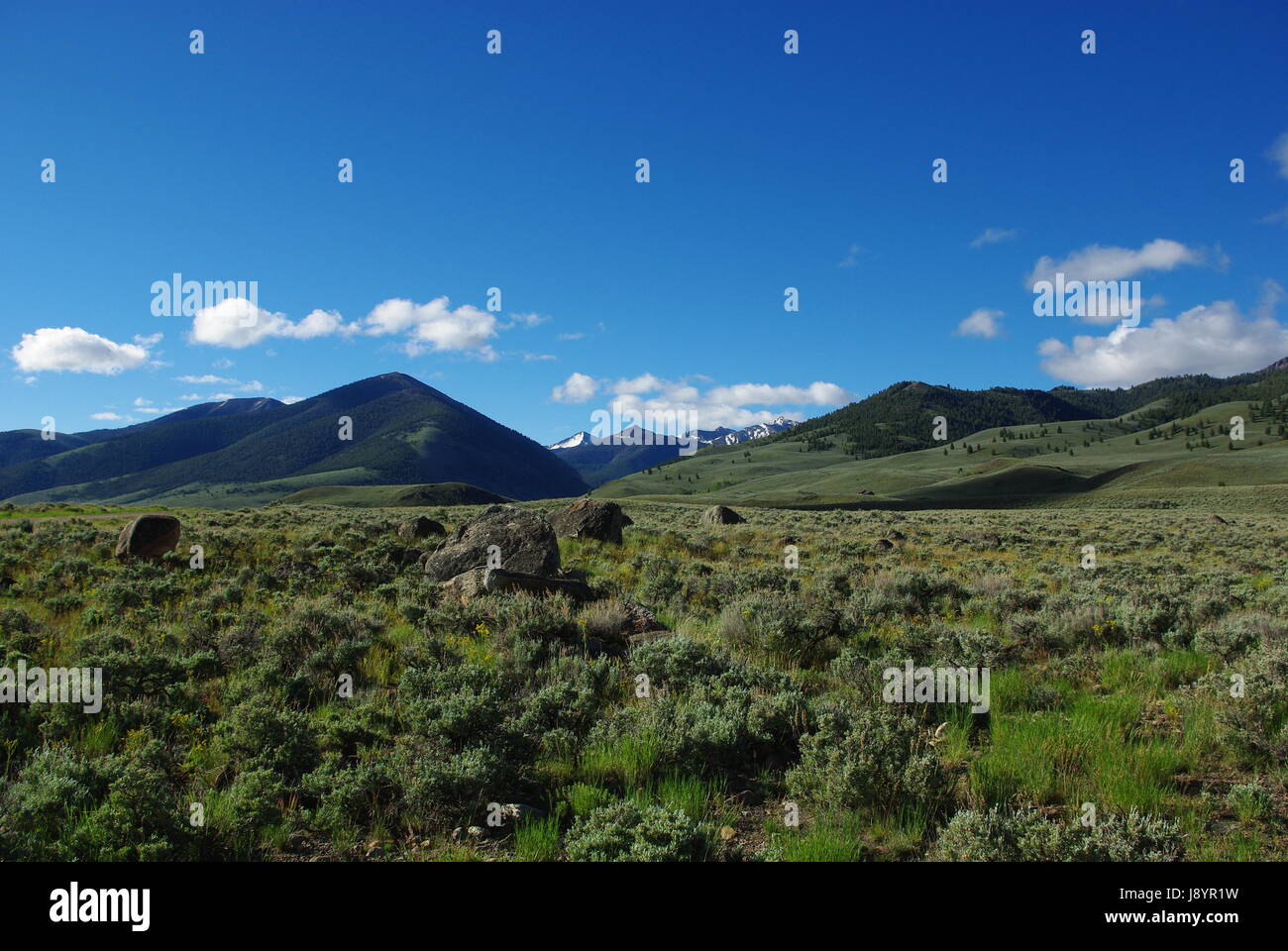 rocks,meadows and mountains in high secluded valley,salmon challis ...