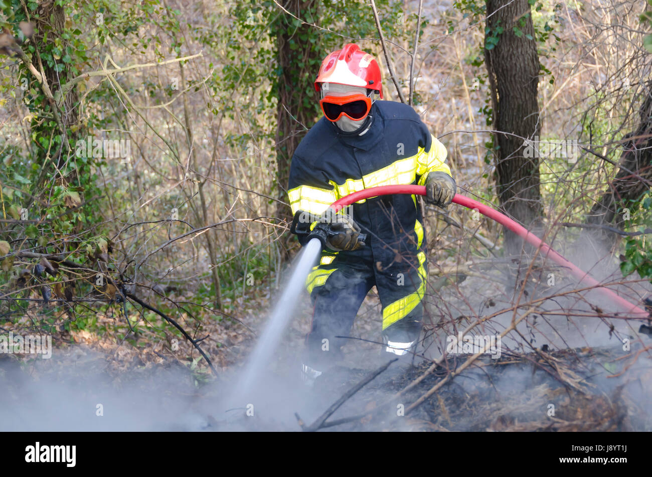 job, protect, protection, action, fireman, hero, passion, zeal, courage ...