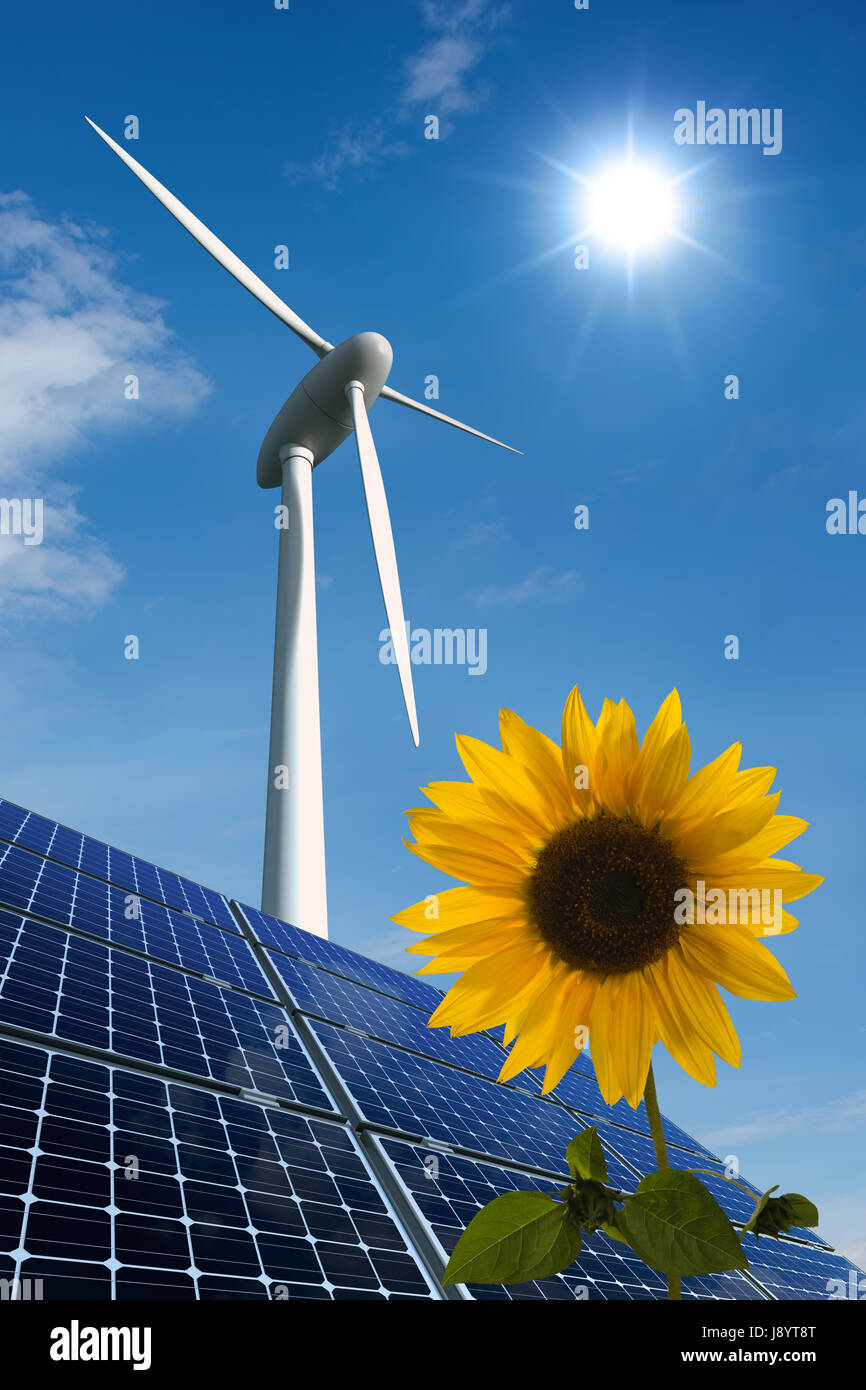 energy, power, electricity, electric power, flower, sunflower, plant ...