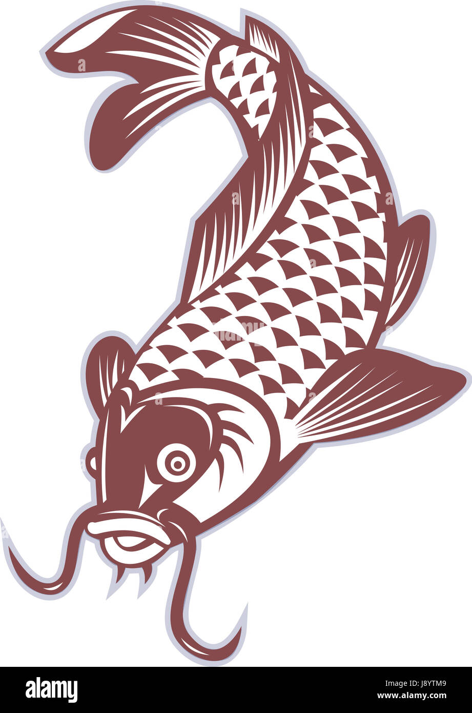 Koi carp fish jumping hi-res stock photography and images - Alamy