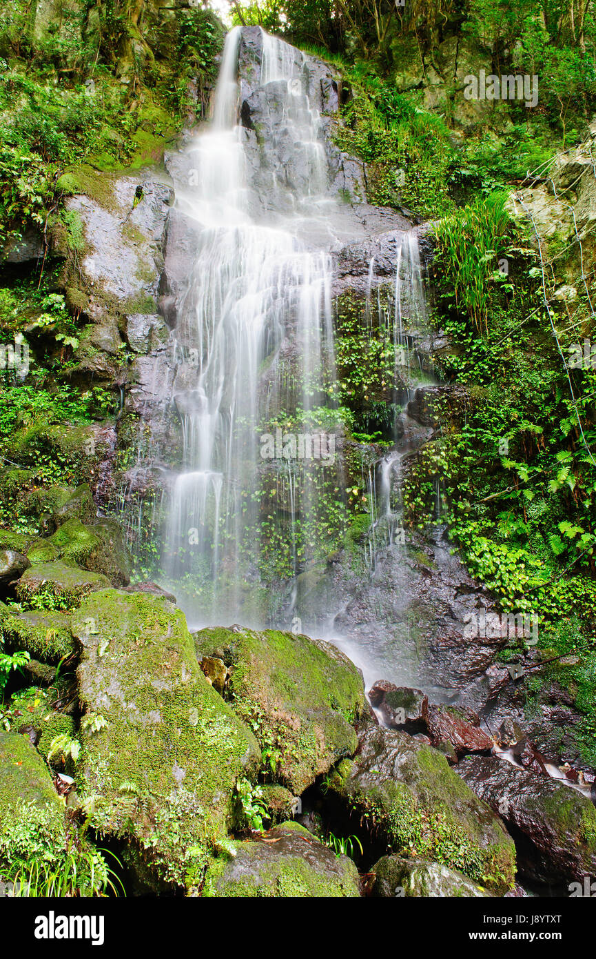waterfall, japan, river, water, mountains, park, stream, rock ...
