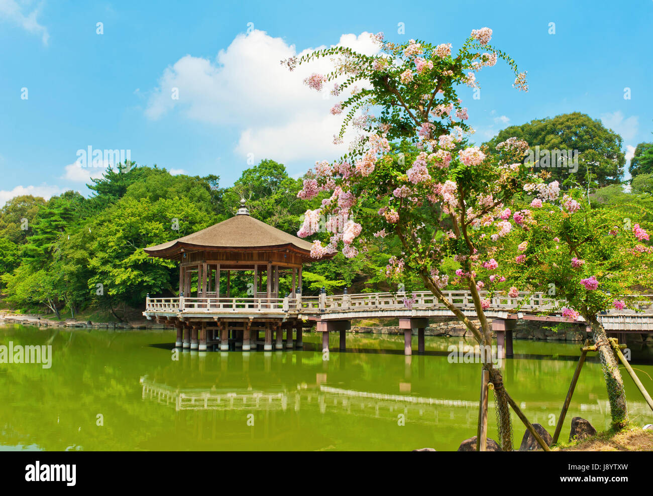 Japanese style gazebo hi-res stock photography and images - Alamy