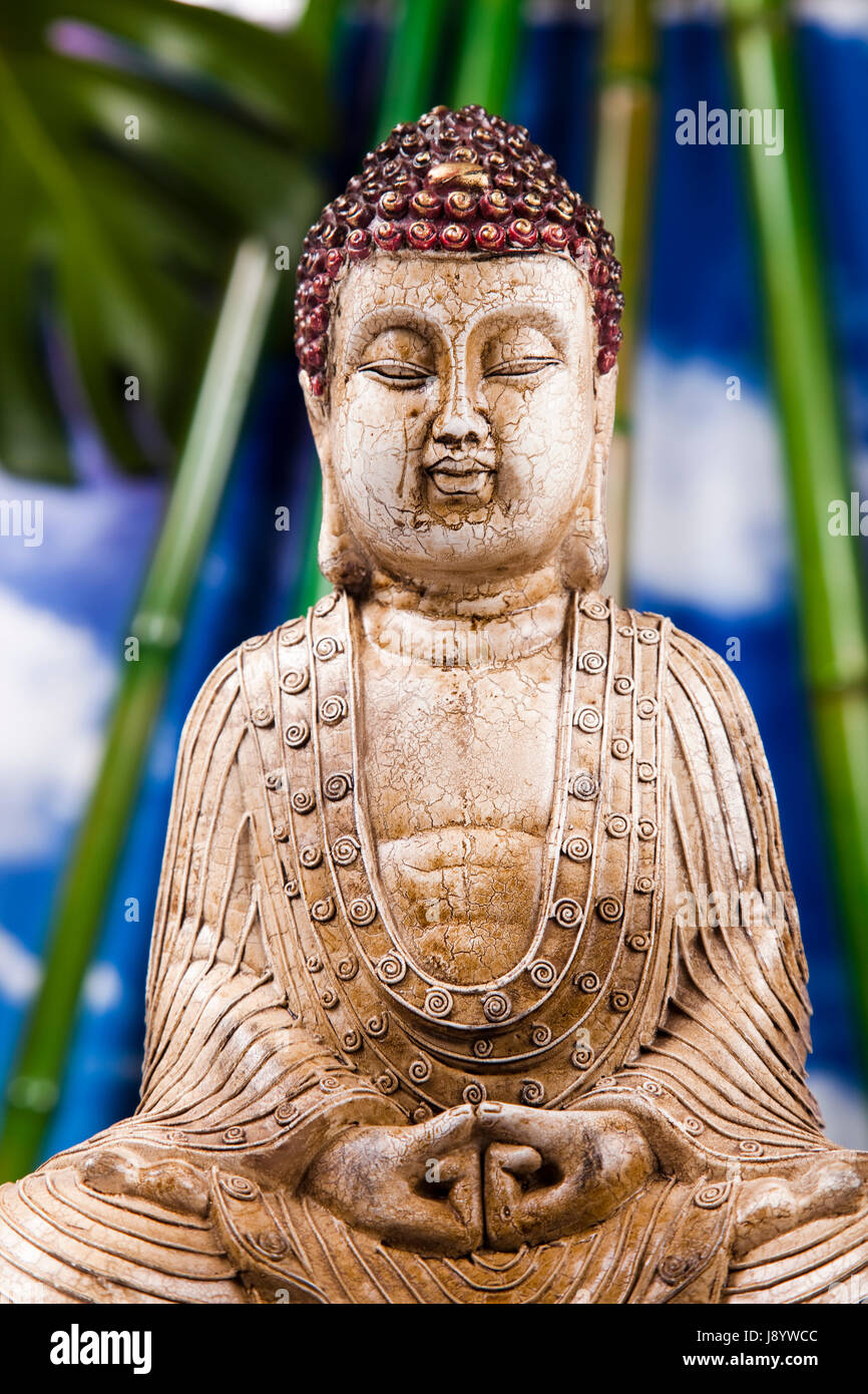 religion, asia, buddha, meditation, zen, buddhism, shine, shines ...