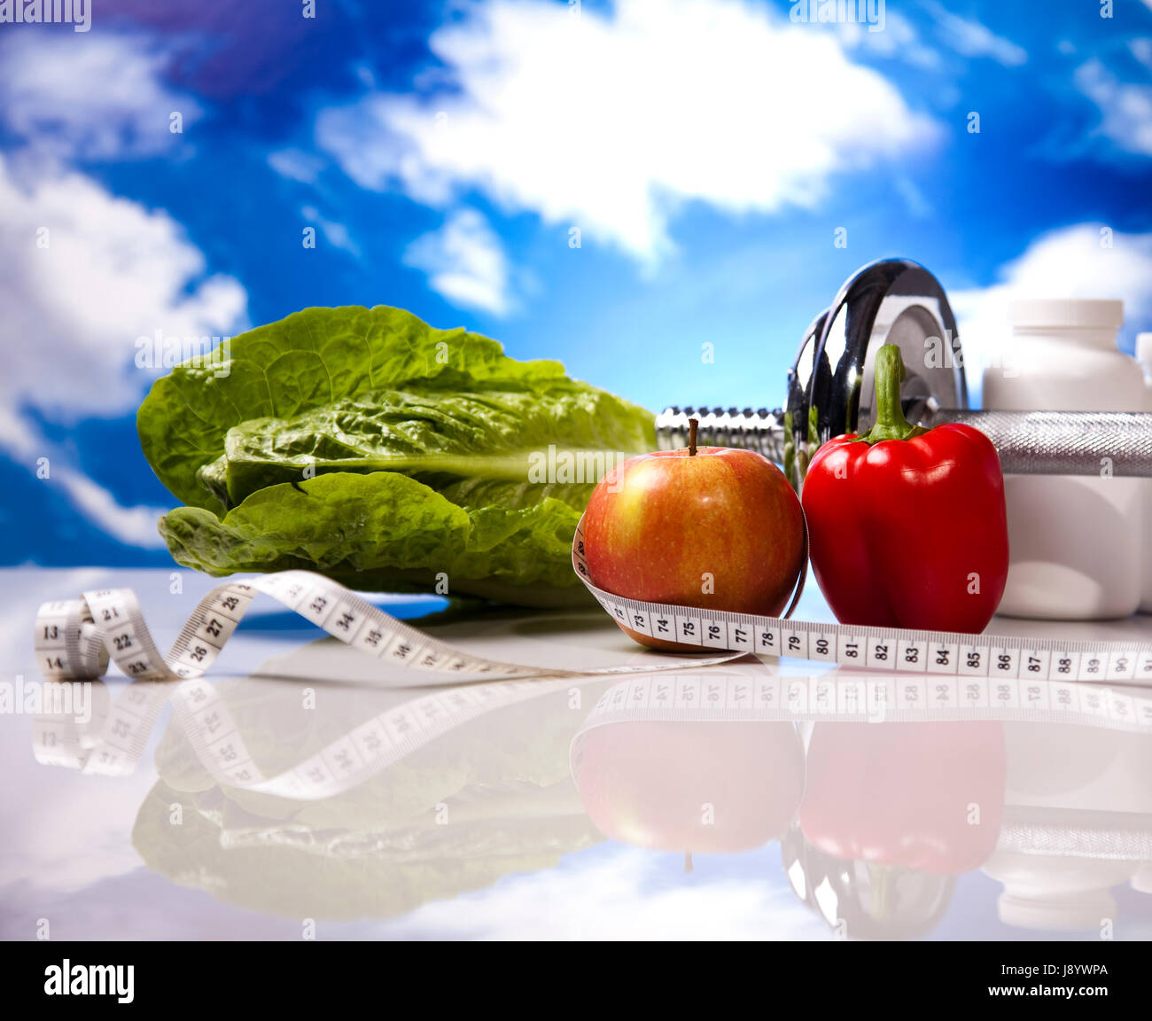 sport, sports, diet, discs, condition, design, shaping, formation ...