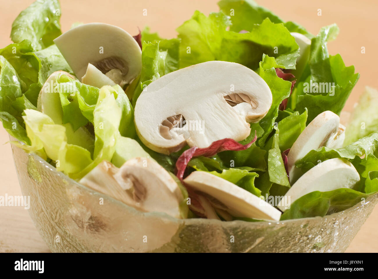 food, aliment, mushroom, fungus, vegetables, salad, healthy, natural ...