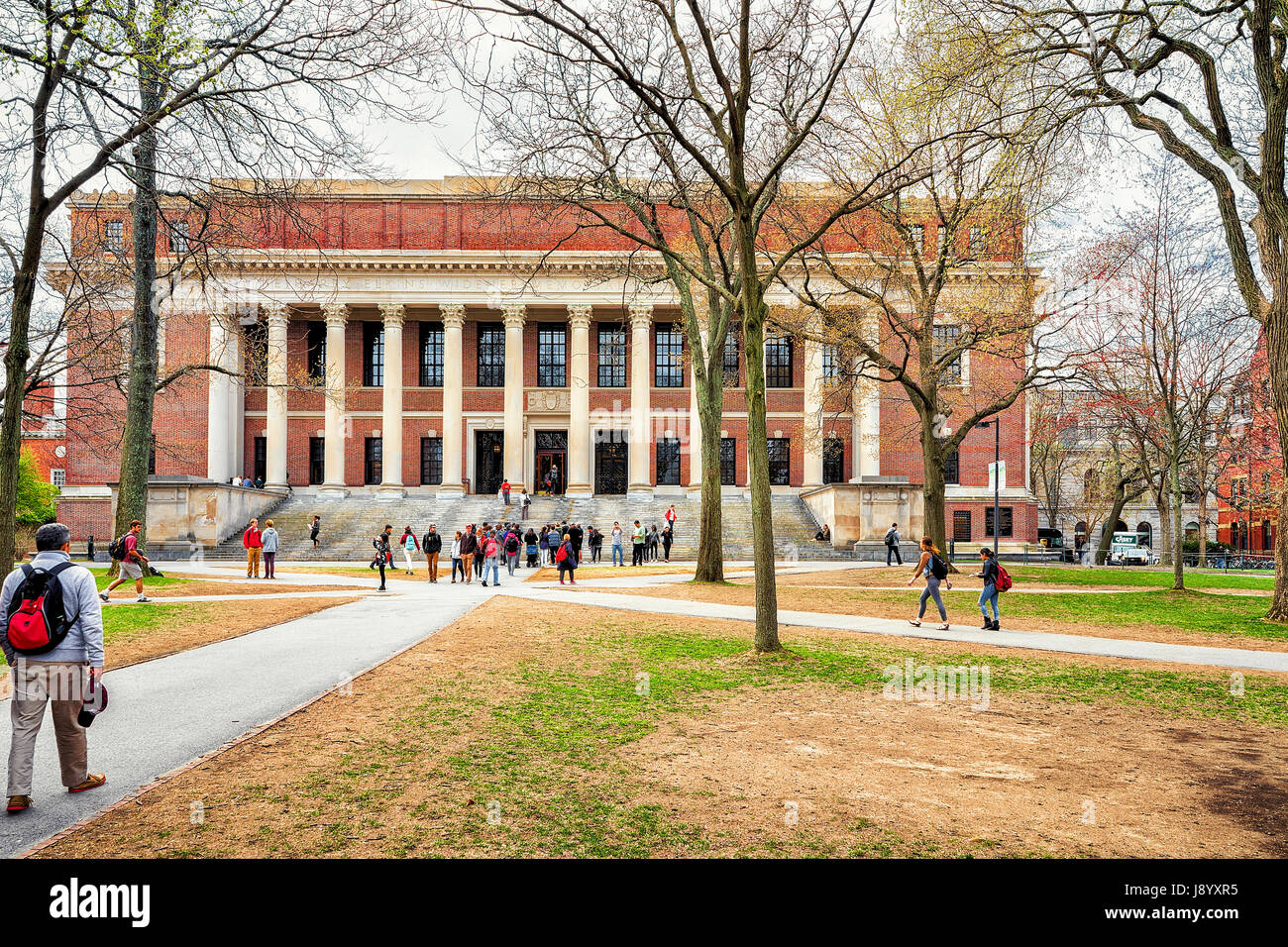 Widener library hi-res stock photography and images - Alamy