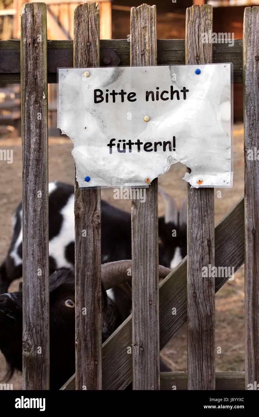 sign, signal, slip, goat, goats, eyes, fence, fence in, fencing, sign ...