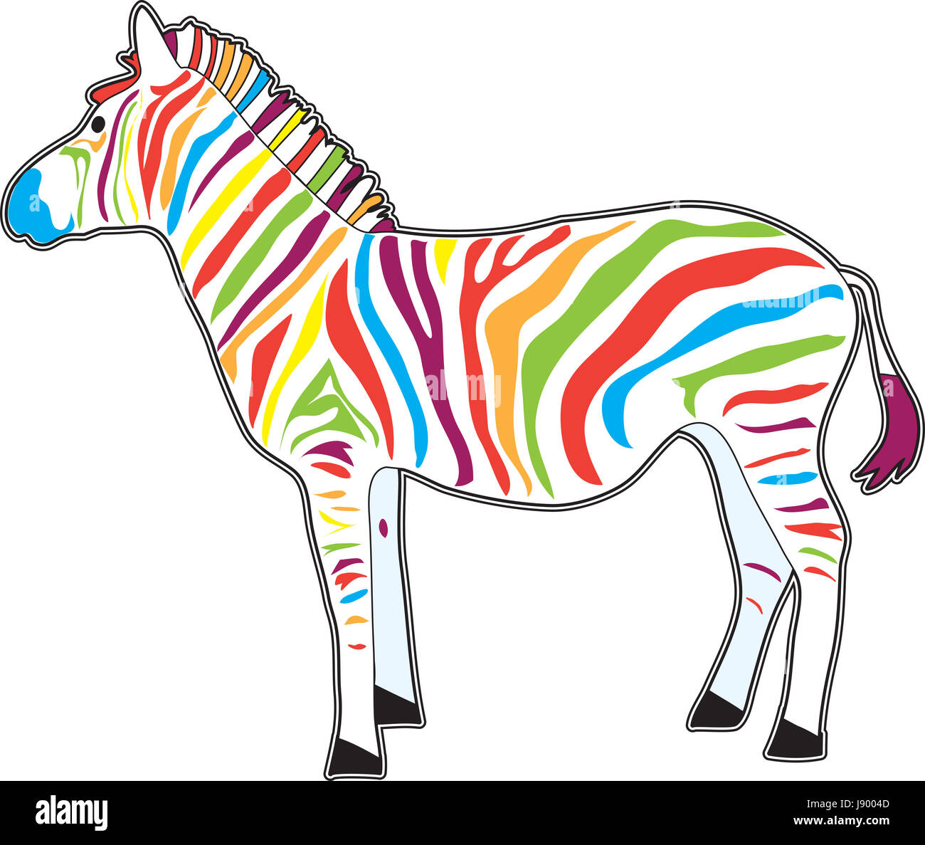 colour, zebra, African, different, unique, color, isolated, colour ...