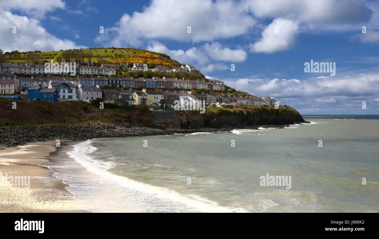 New Quay West Wales Stock Photo - Alamy