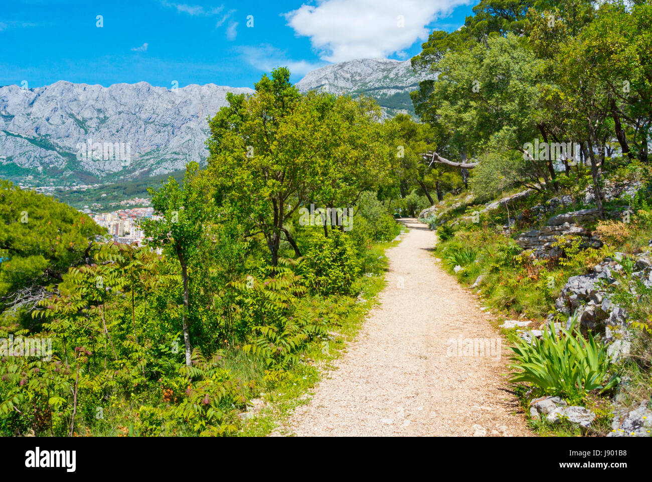 Nugal High Resolution Stock Photography and Images - Alamy