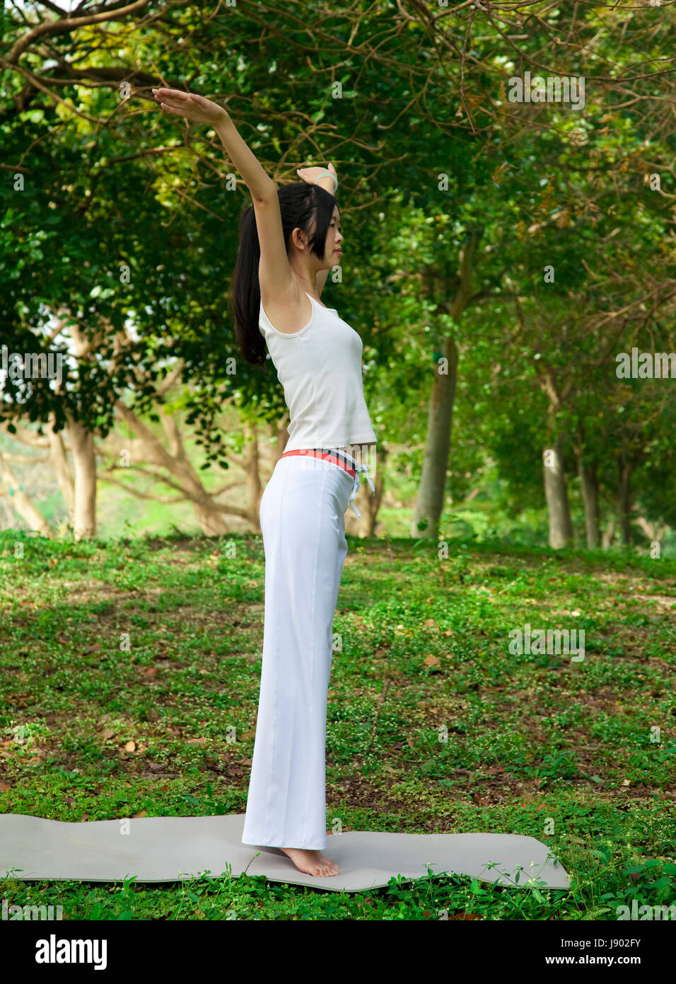 hand, hands, health, happiness, lawn, green, girl, girls, forest, fresh ...