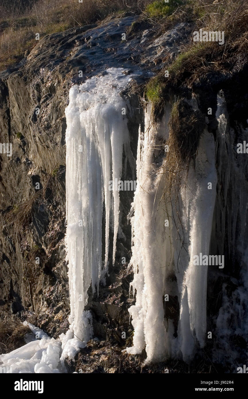 cold, frost, icy, freeze, season, white, nature, ice, environment ...